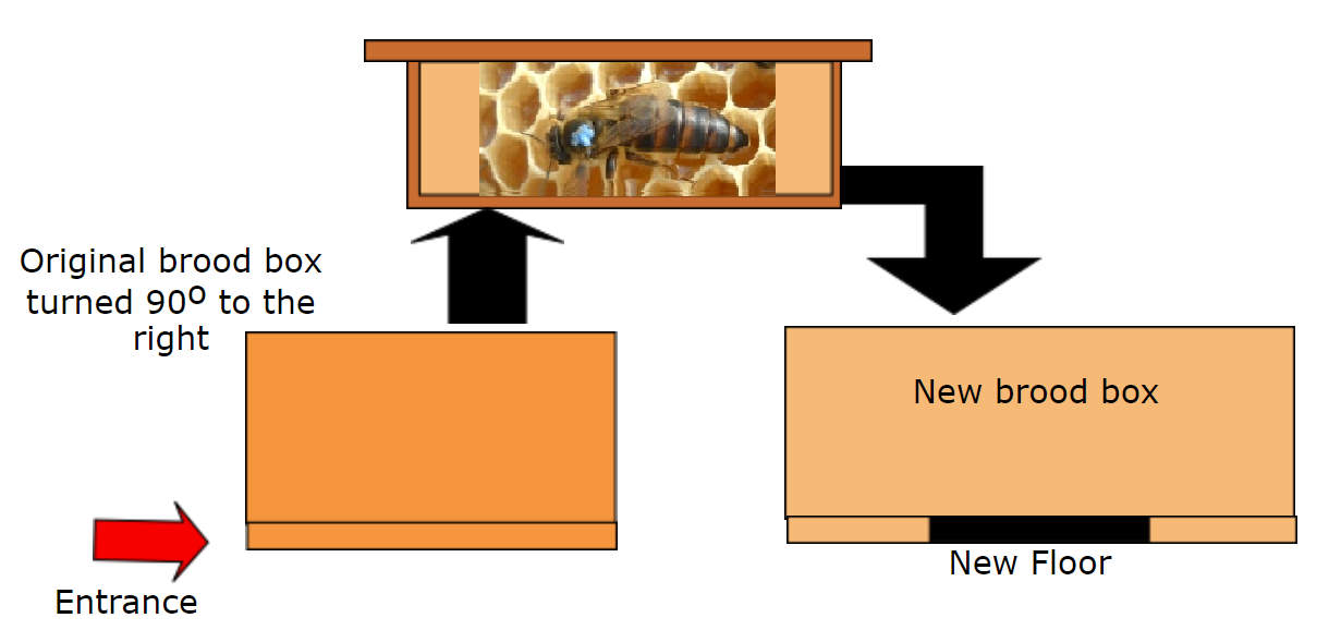 Swarm Control – Kemnay Community Bee Group
